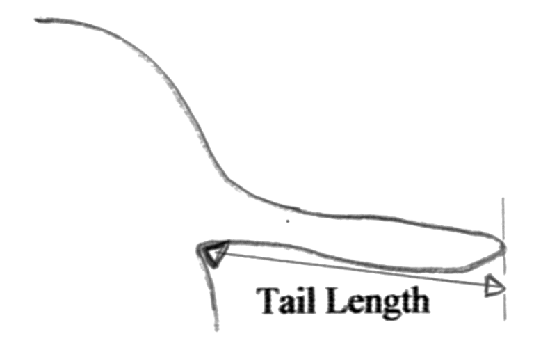 Breed Standard - ZSA - Zwartbles Sheep Association