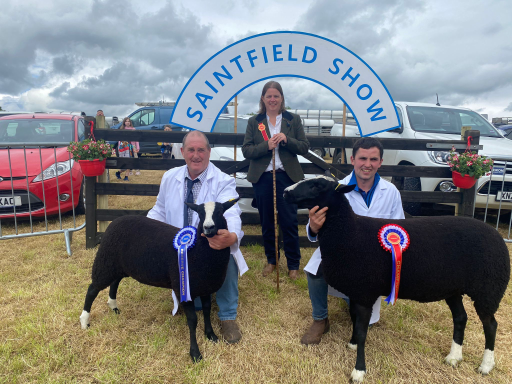 Saintfield Show Results